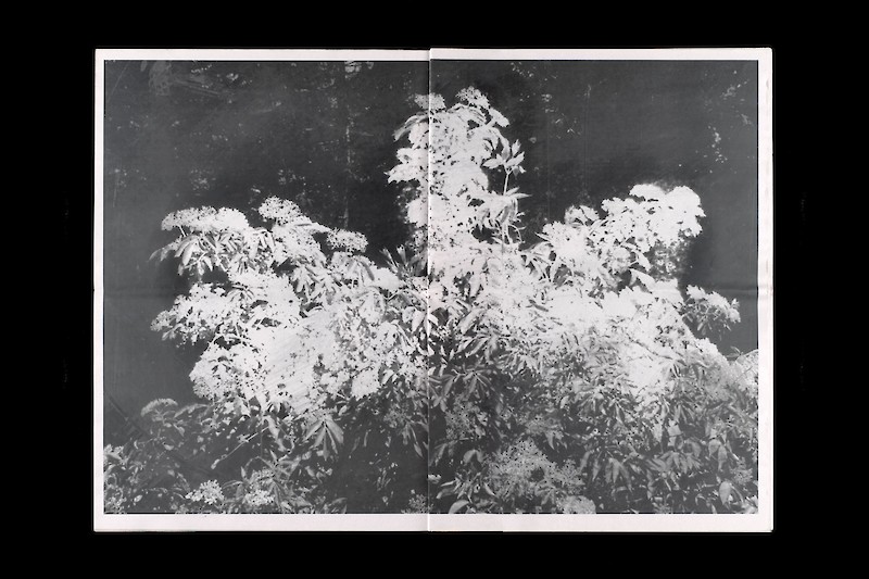 Experimentelles Gestalten: Dislocation – Visual Communication ZHdK